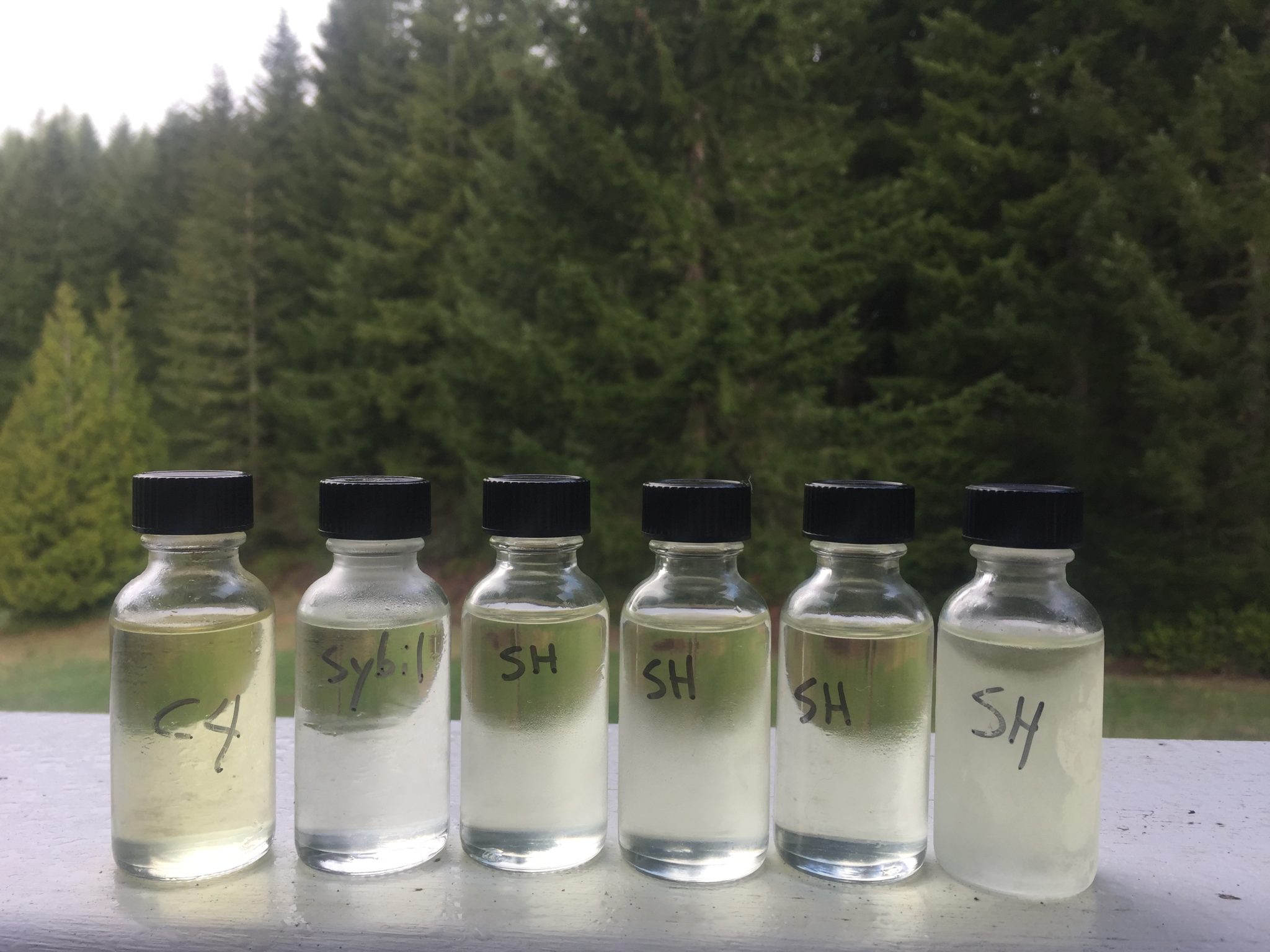 Terp Farm - Terp Farm